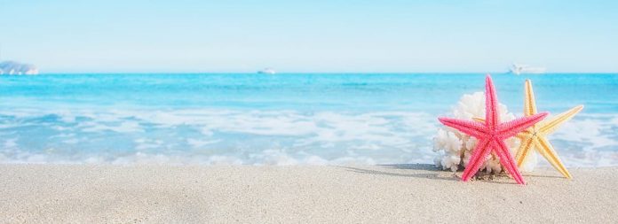The Most Beautiful Beaches to Visit in the USA | Smilebox Blog